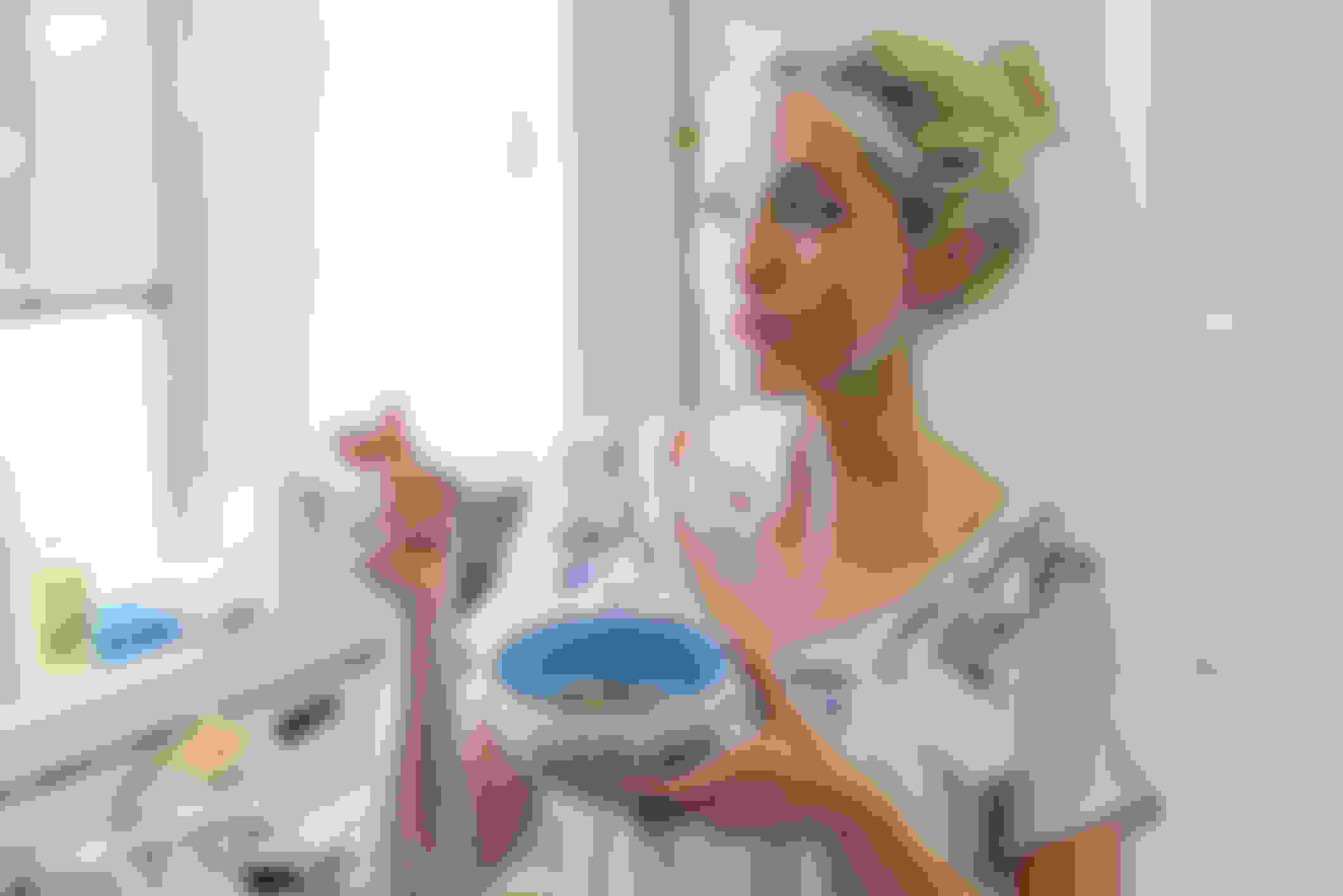 12 tipov na zdravé raňajky a desiaty pre celú rodinu | Hello Tesco